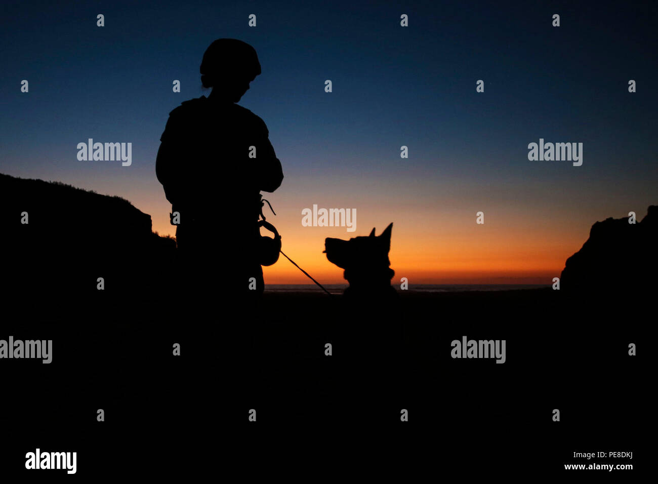 Orlando, Fla., native Cpl. Suzette Clemans, a military working dog ...