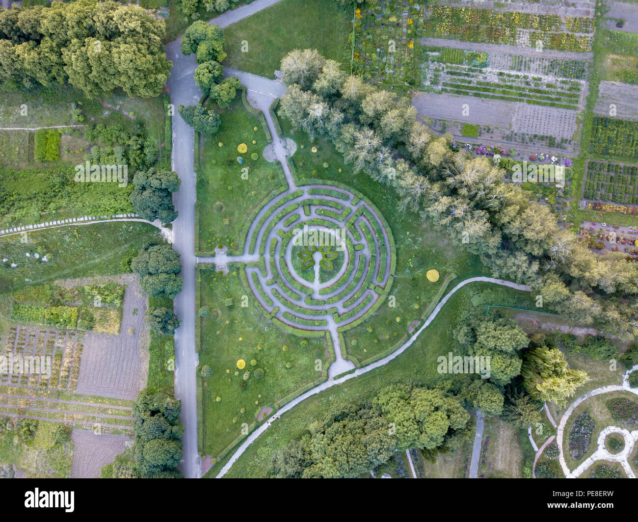 Birds eye view from the drone to a labyrinth of cut bushes, alleys ...