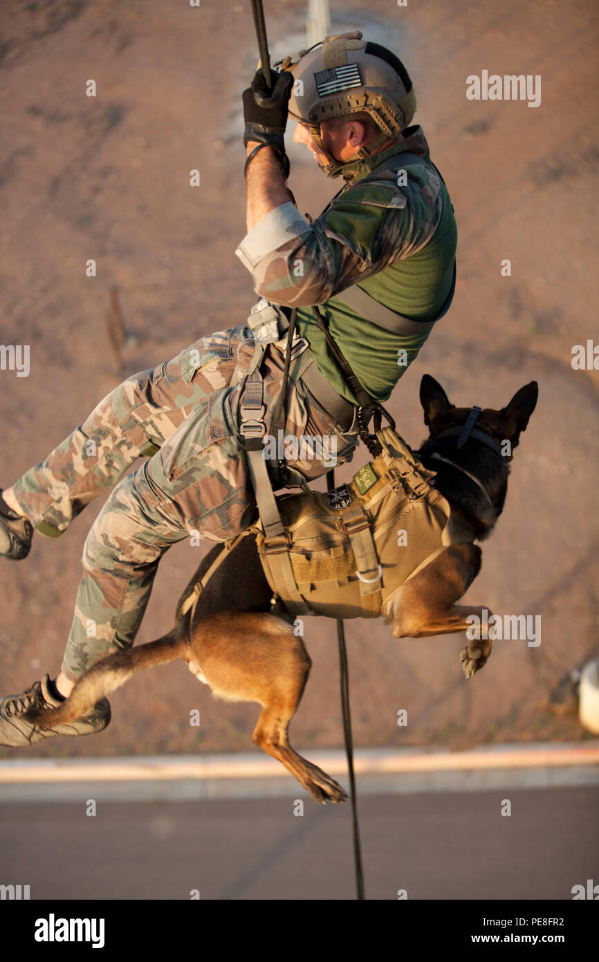 Msob multi purpose canine rappelling hi-res stock photography and ...