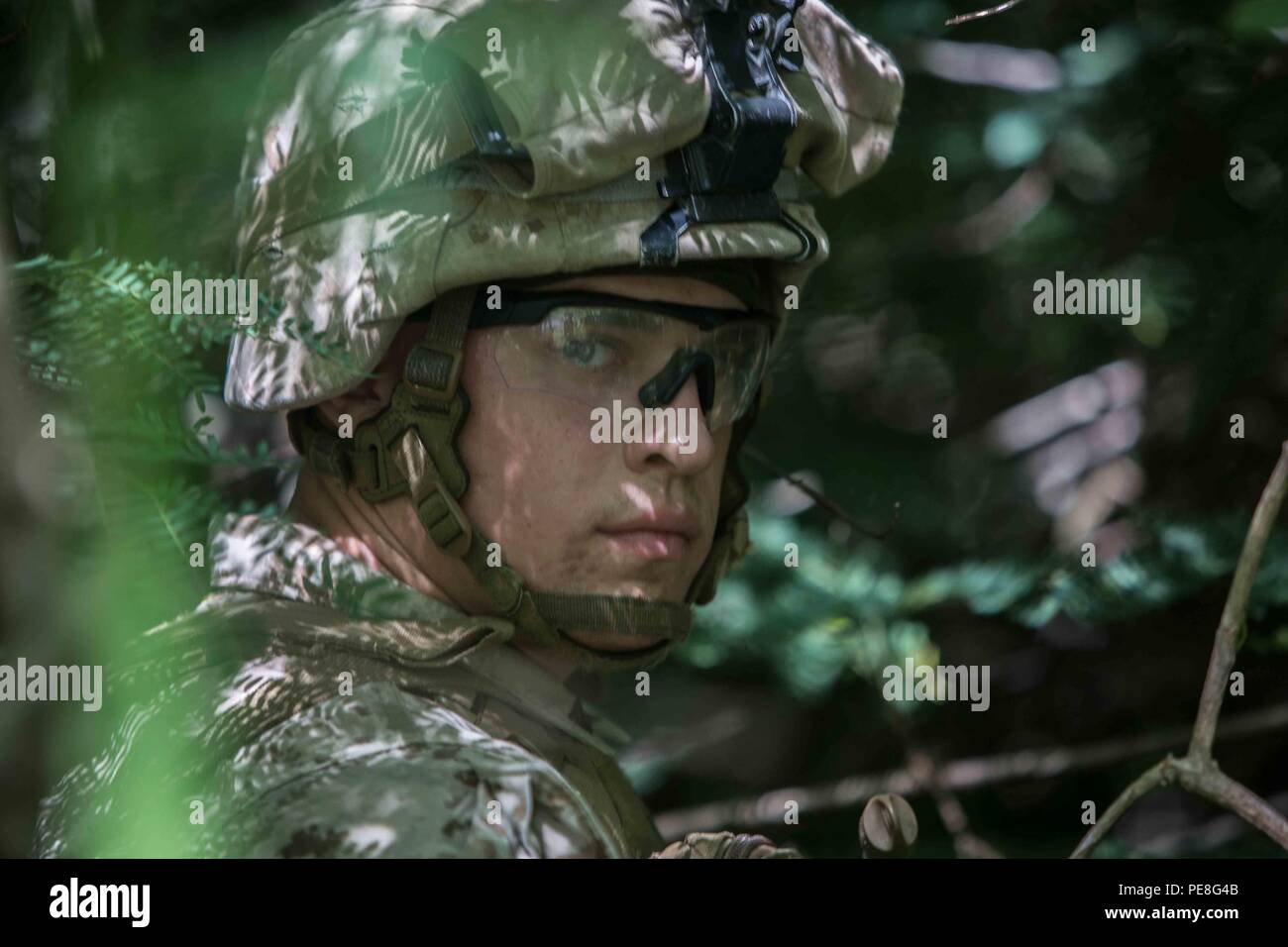 Owl with fight or flight response hi-res stock photography and images ...
