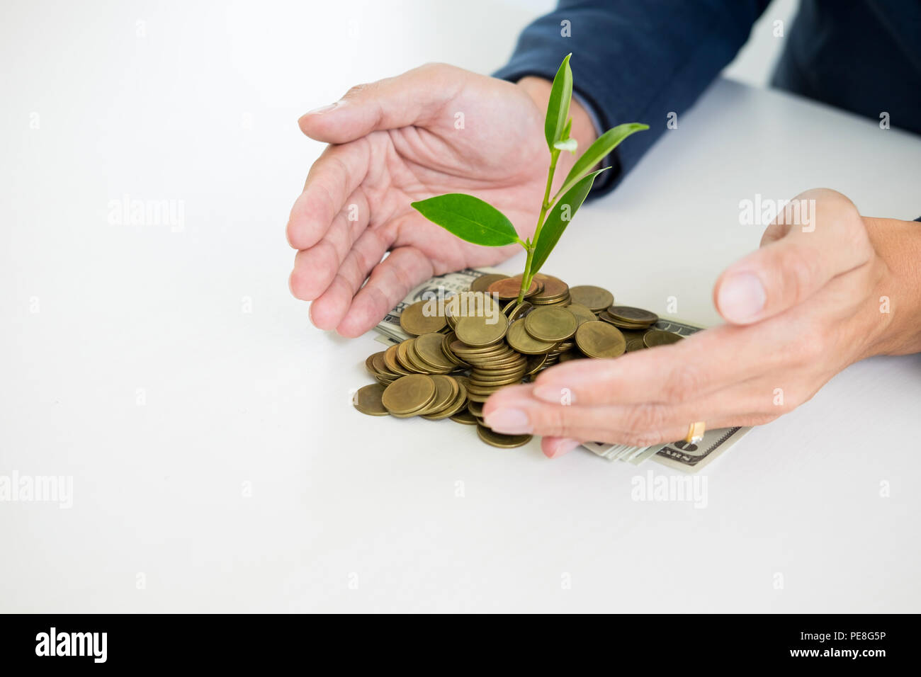 Business man hand make palm up with growing up money coins and sprout ...