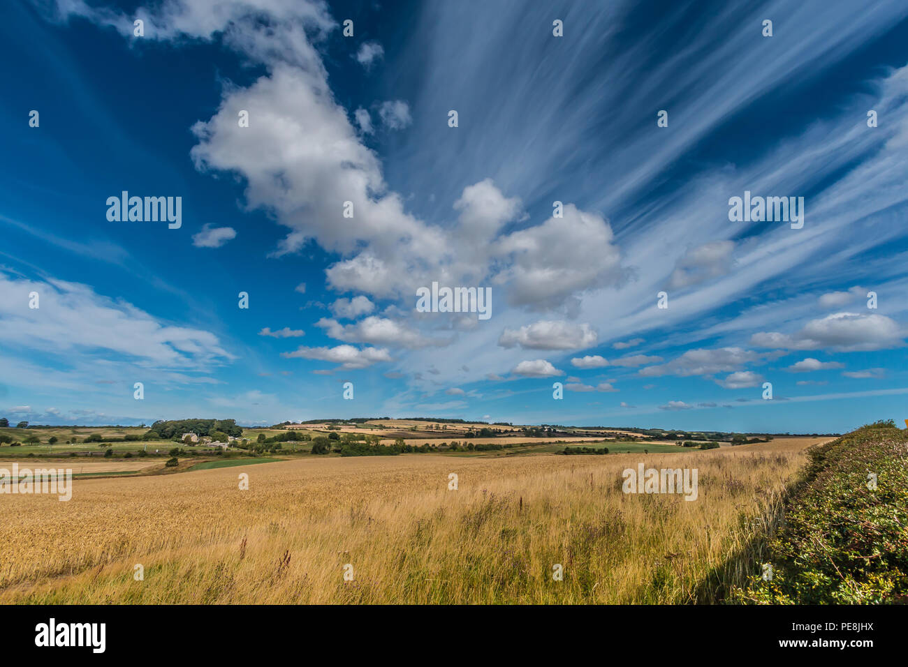 Lesbury hi-res stock photography and images - Alamy
