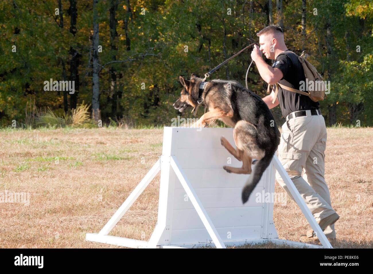 Bring dog to work hi-res stock photography and images - Alamy