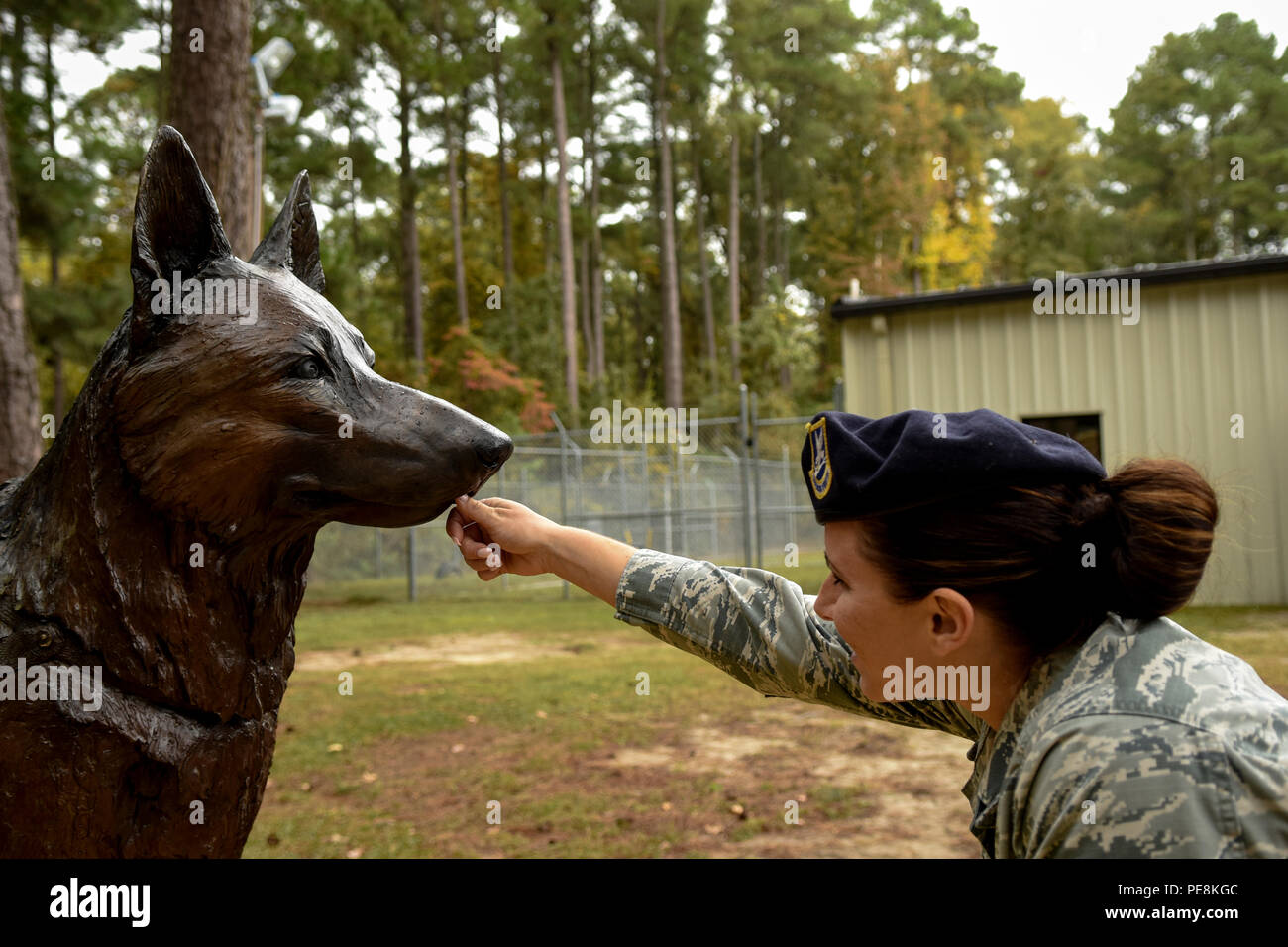 Staff Sgt. Kristina Dennison, 4th Security Forces Squadron military working dog handler, checks ...