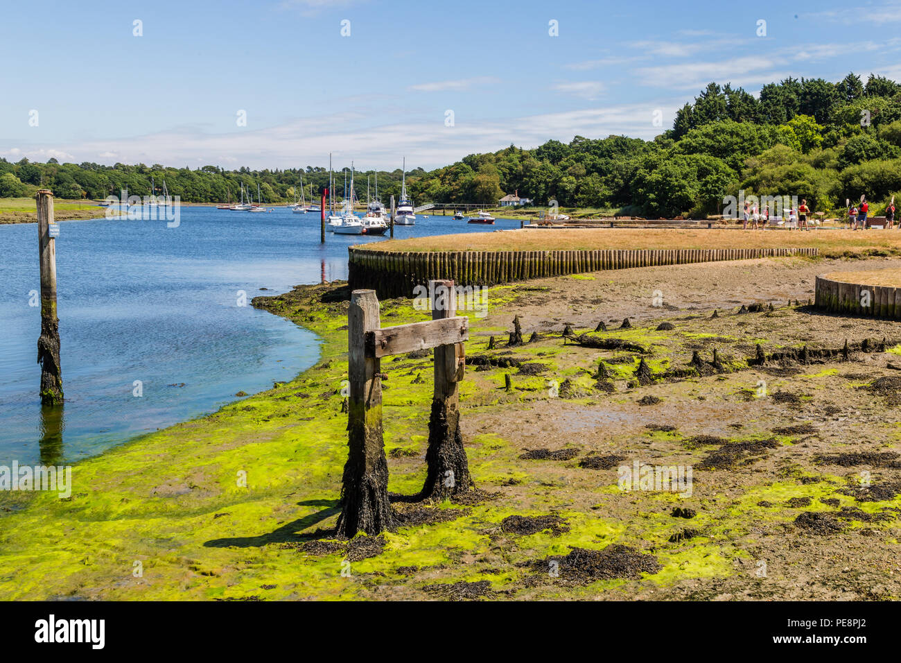 Beaulieu river hi-res stock photography and images - Alamy