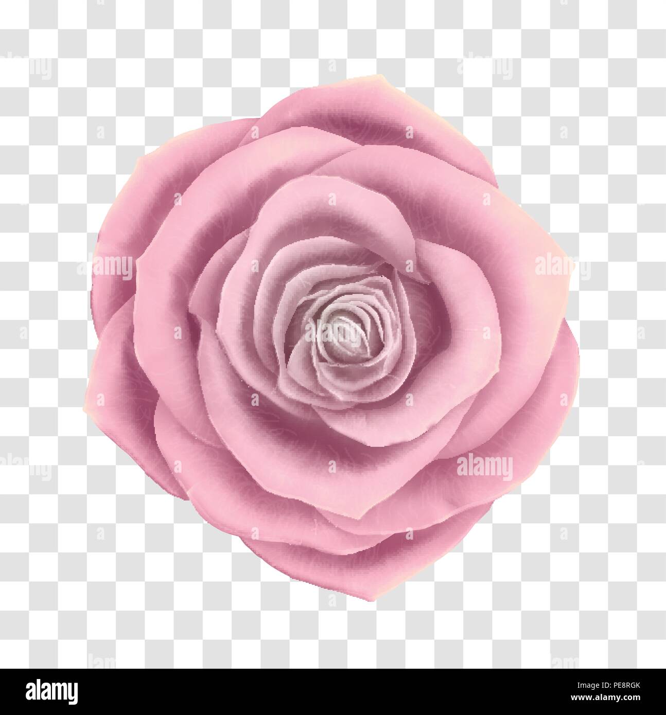 Vector beautiful rose floral decorative element Stock Vector Image ...