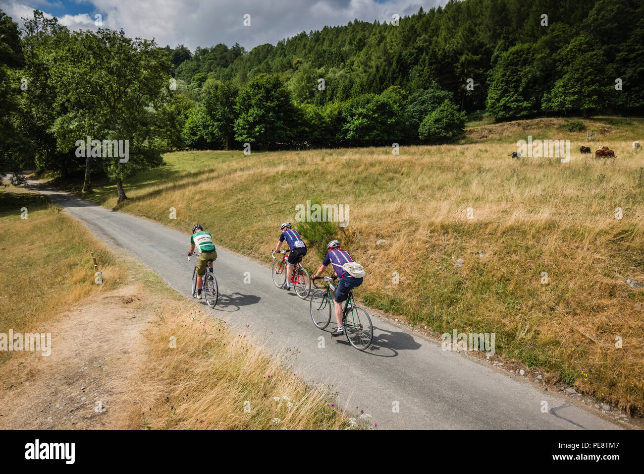 Veloretro High Resolution Stock Photography and Images - Alamy