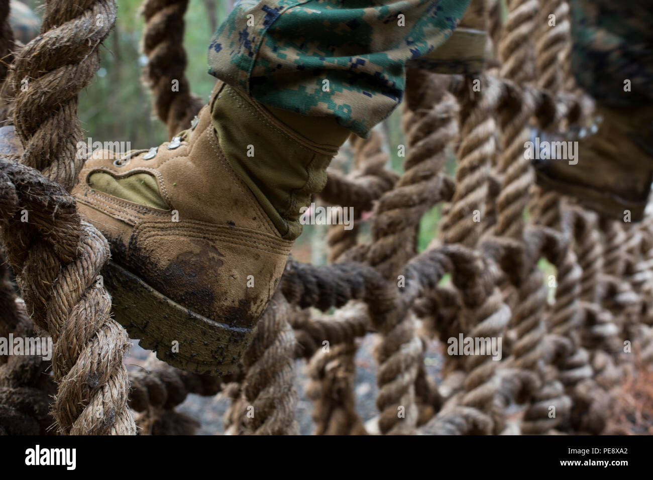 Swamp romp hi-res stock photography and images - Alamy