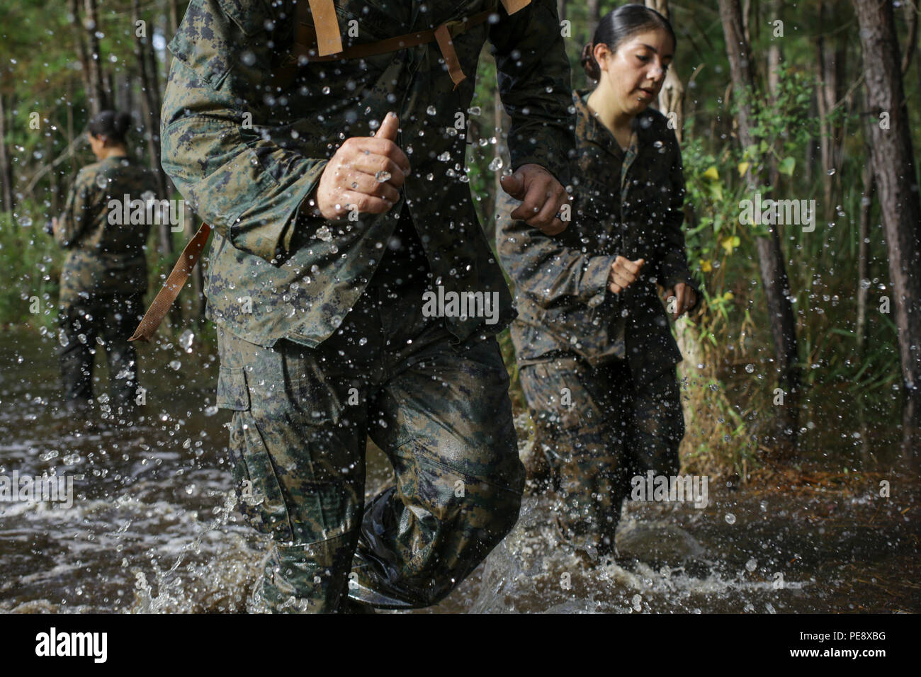 Swamp romp hi-res stock photography and images - Alamy