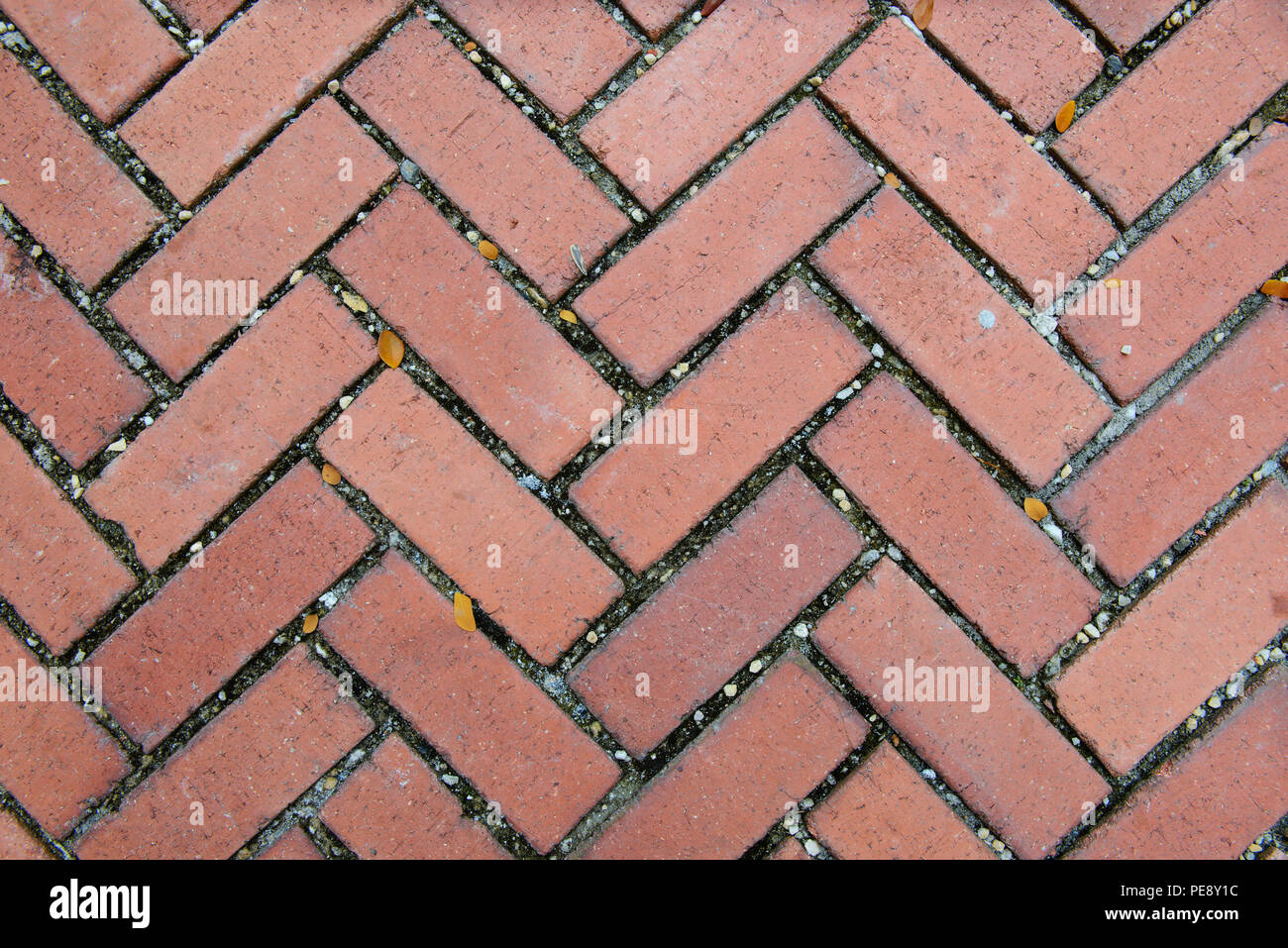 Flooring pattern with beautiful red clay tiles for walkway flooring ...