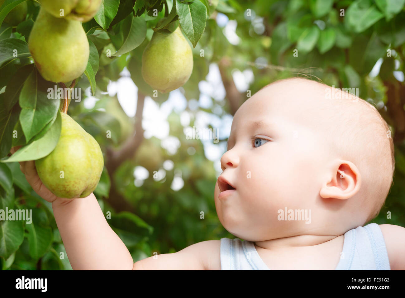 Bite to eat bio hi-res stock photography and images - Alamy