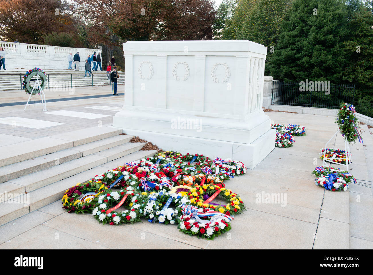 A Tomb Sentinel, 3d U.S. Infantry Regiment (The Old Guard), guards the ...
