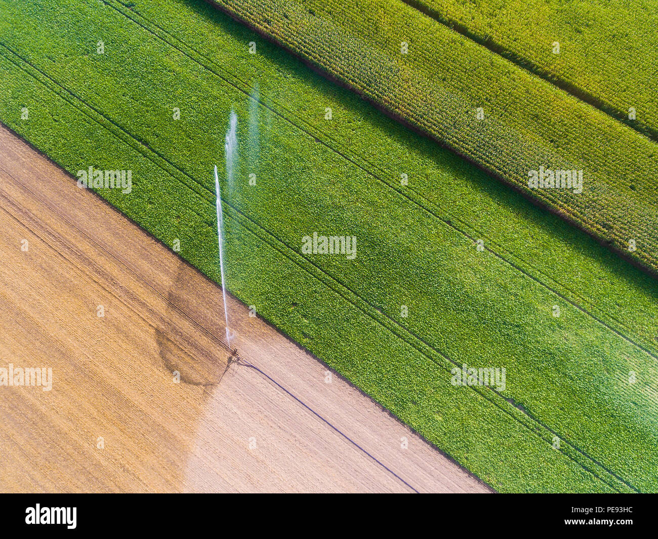 Natural Irrigation High Resolution Stock Photography and Images - Alamy