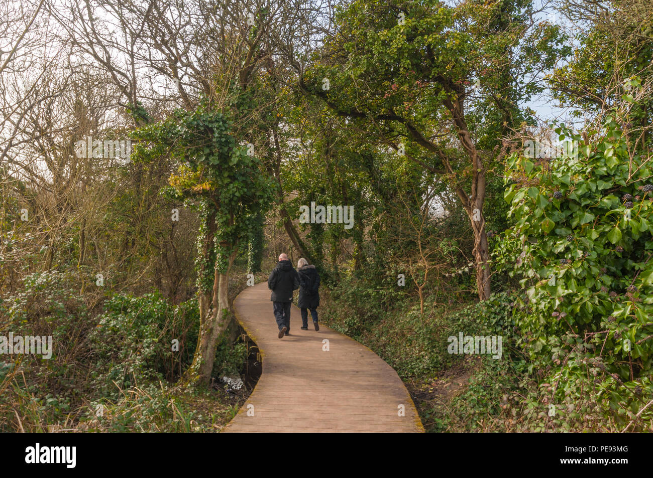 Boardwalk nature Trail through Cosmeston Lake Countrypark. PHILLIP ...