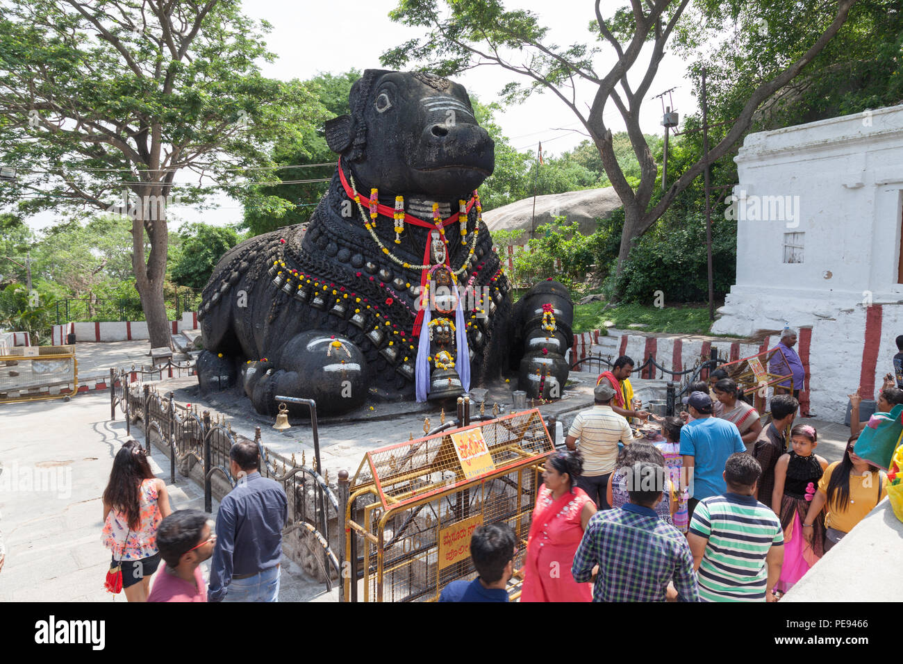 Nandi statue on Chamundi Hill, Mysore, India Stock Photo - Alamy