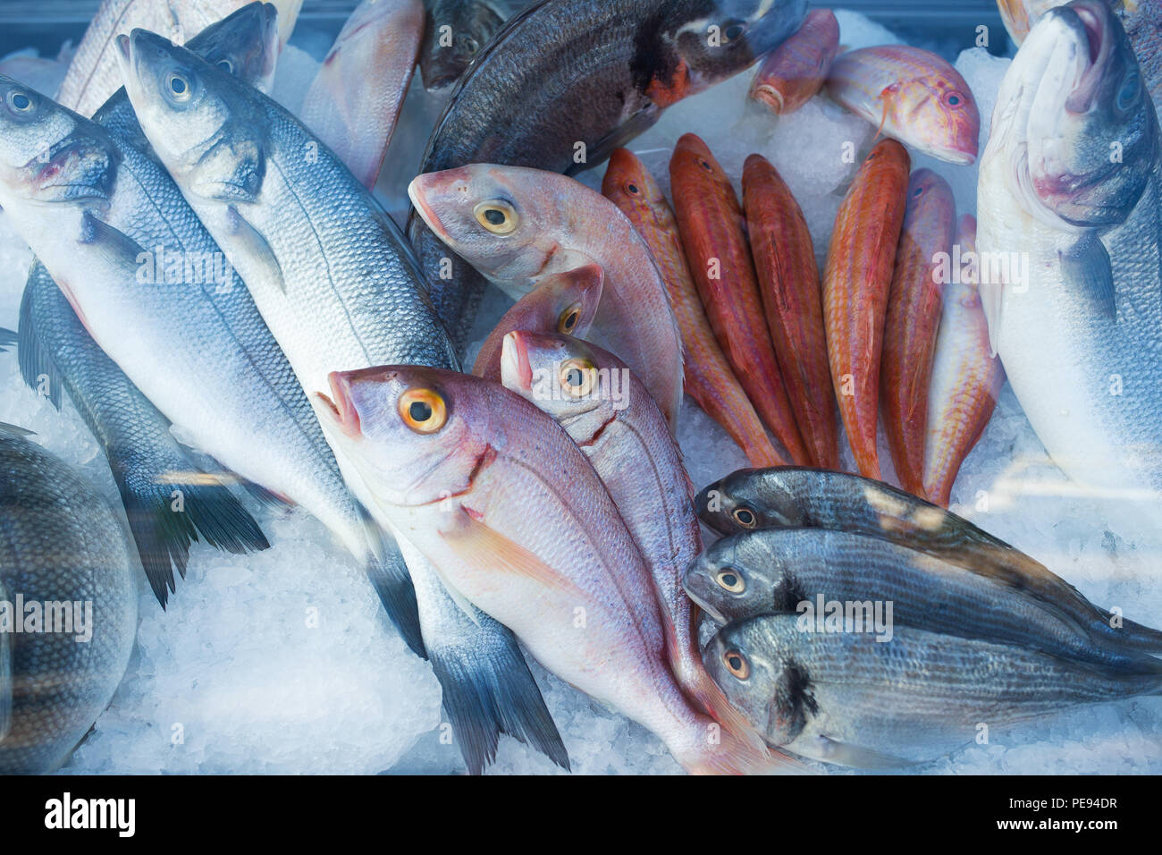 Fresh fish in seafood storefront. Many kinds of raw fish Stock Photo ...