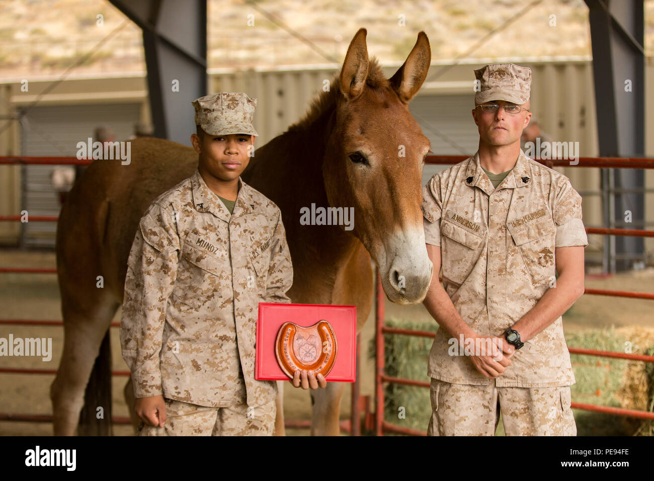 6th batta hi-res stock photography and images - Alamy