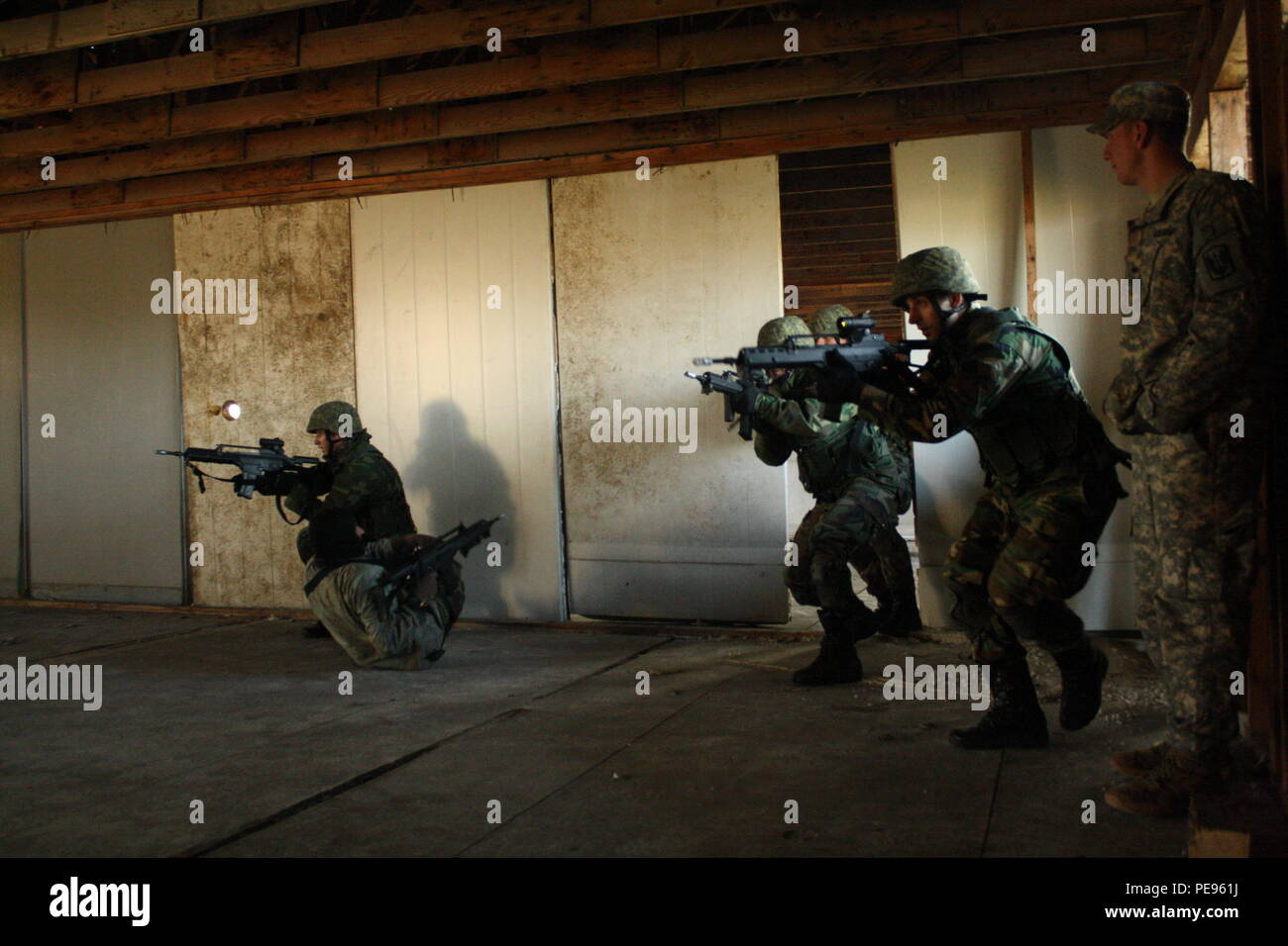 Sgt. Ryan Skinner, a member of the Multinational Battle Group-East ...