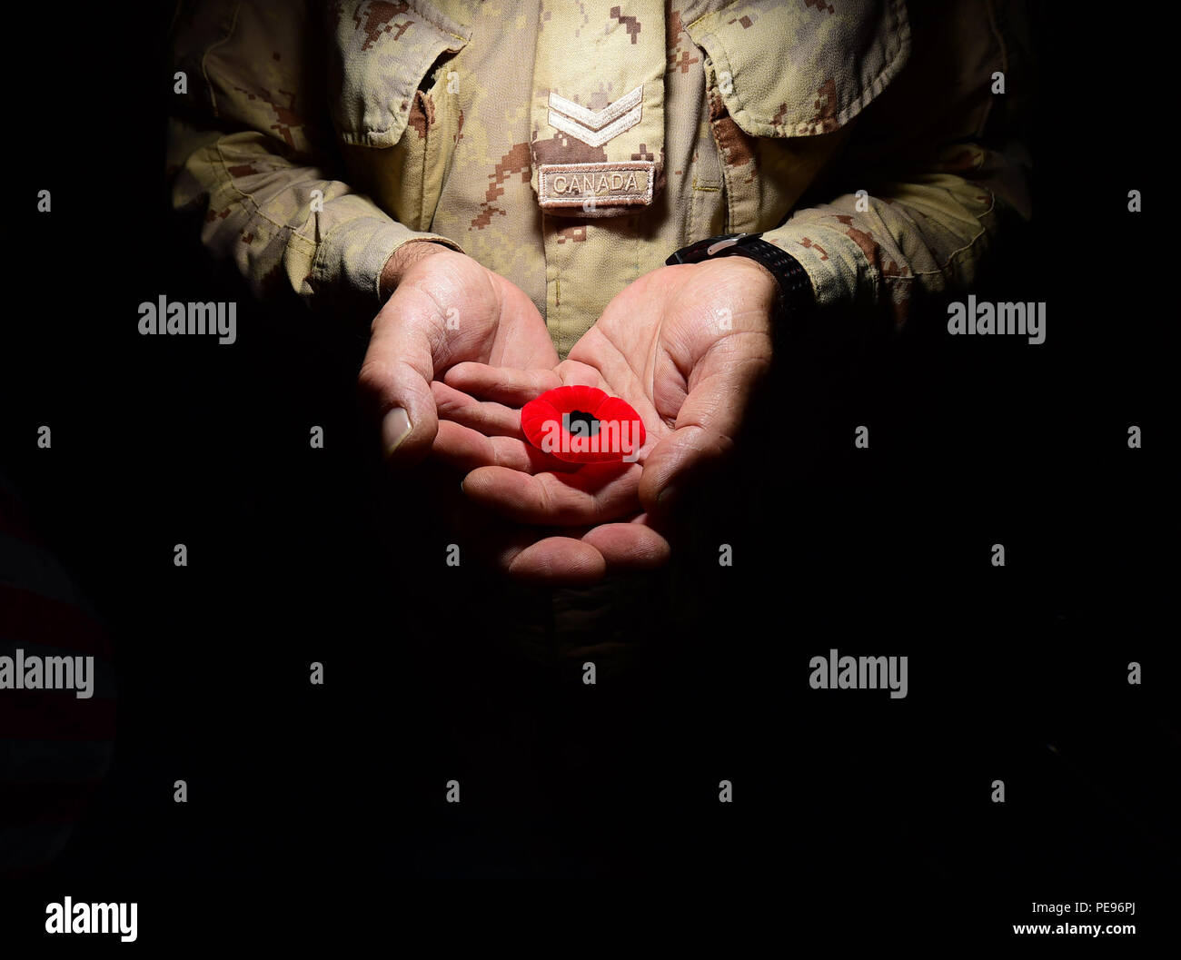A Canadian Forces member celebrates Remembrance Day Nov. 11, 2015 at an ...