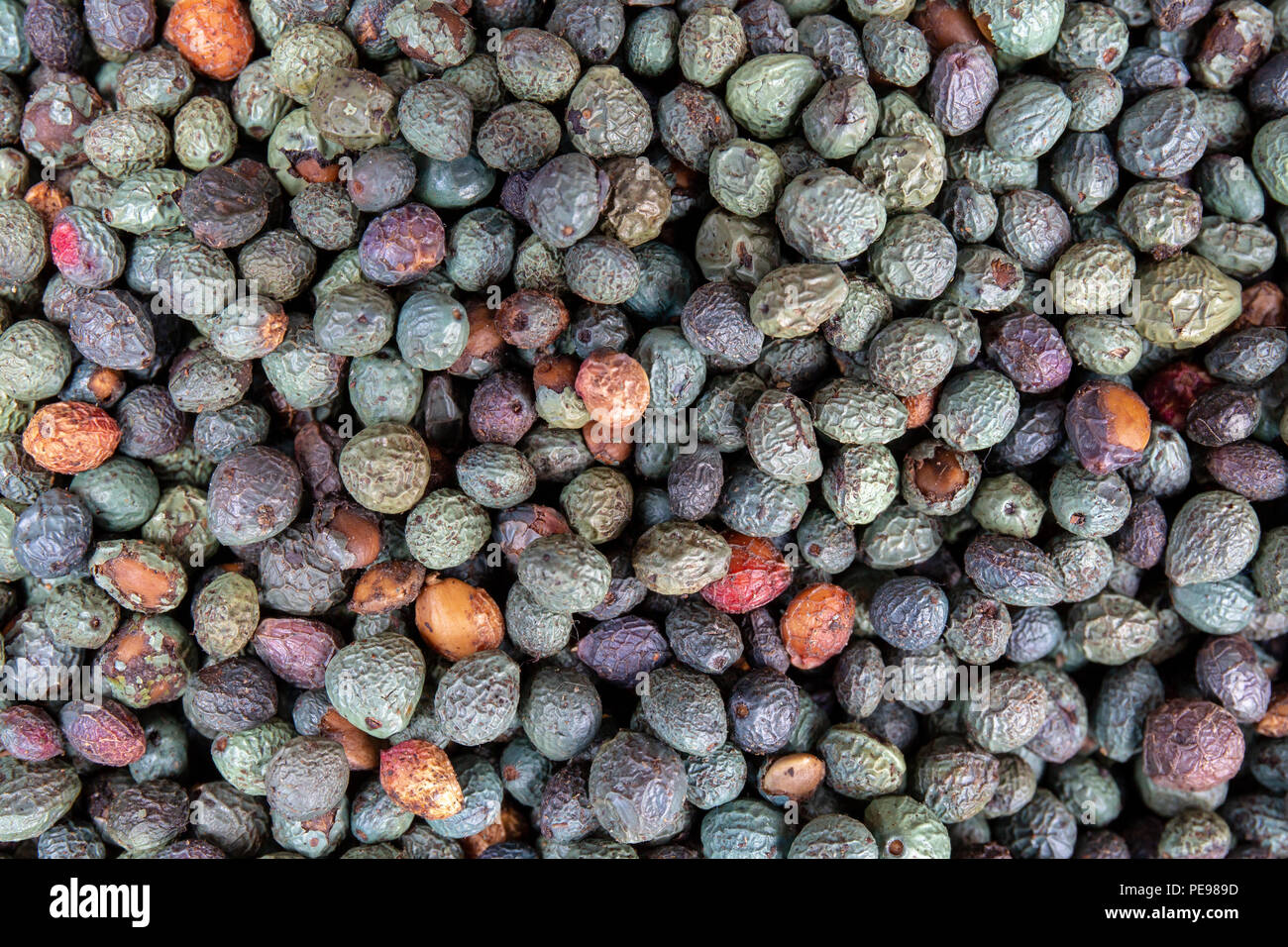 Menengic hi-res stock photography and images - Alamy