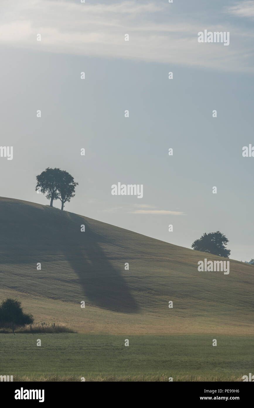Morning scenery with trees on top of a green hill dropping long shadow ...