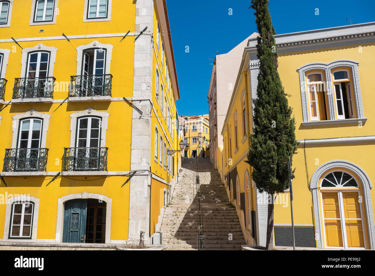 Old yellow house with yellow tree hi-res stock photography and images ...