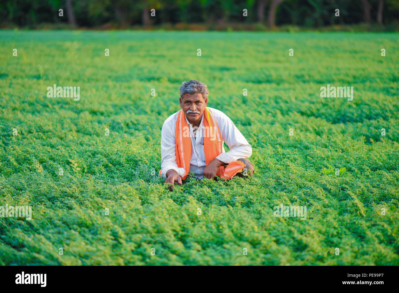 Happy rural indian farmers hi-res stock photography and images - Alamy