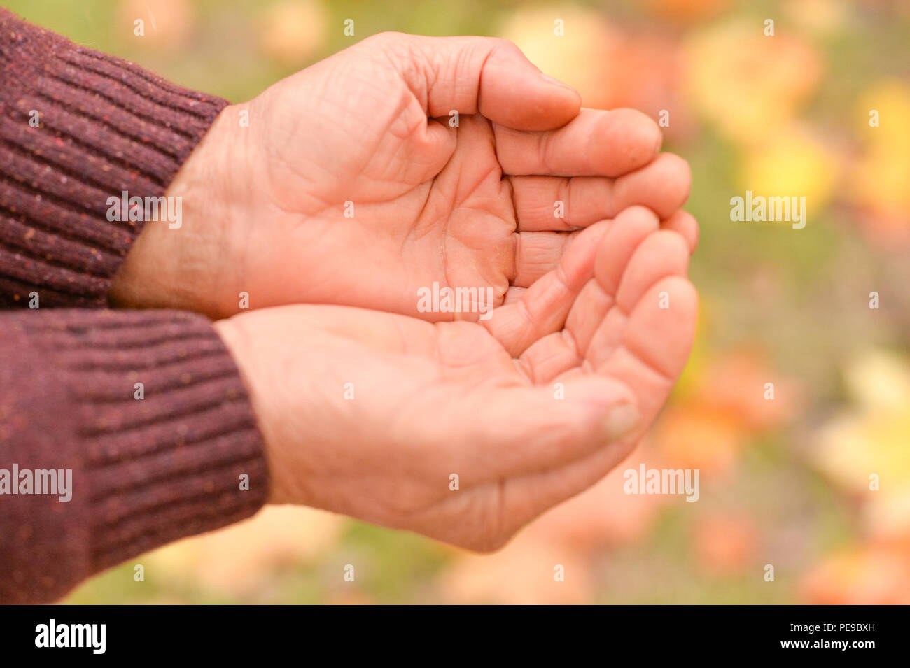 Close up view of male hands at nature Stock Photo - Alamy