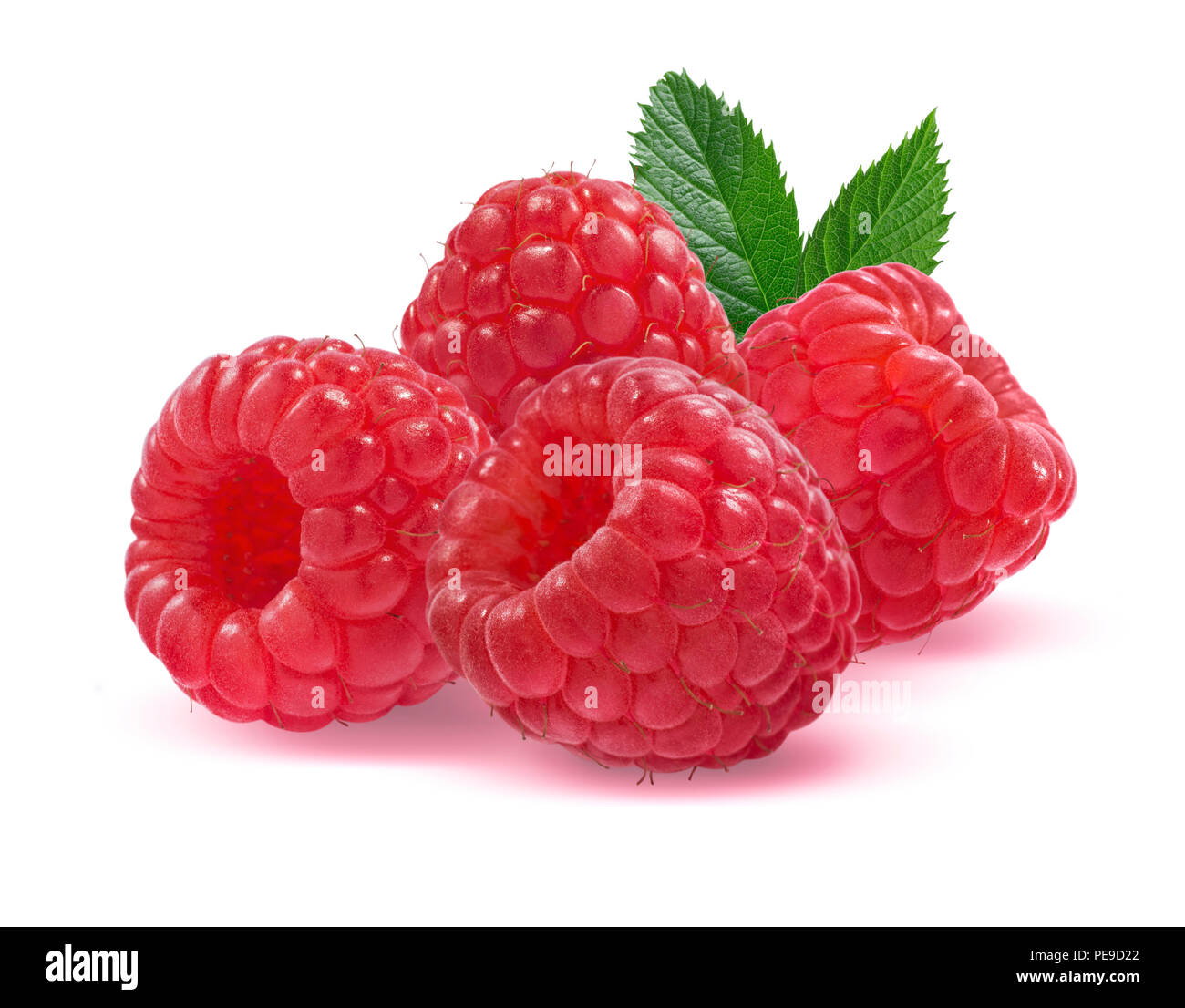 Four raspberry group isolated on white background as package design ...