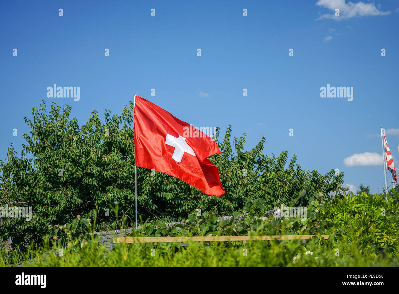 swiss national symbol with green trees in the background Stock Photo ...