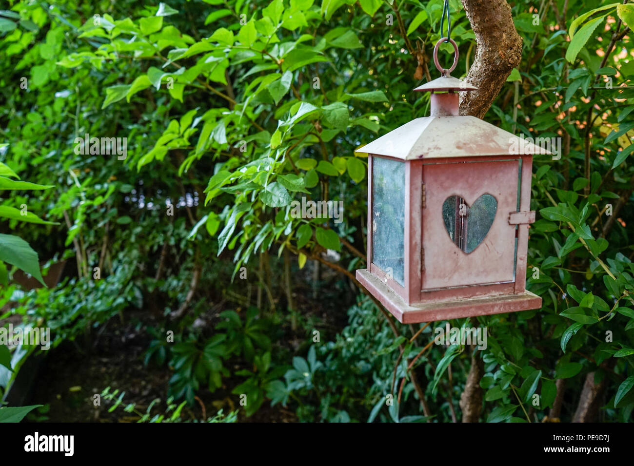 lovely garden scene with small object hanging from tree Stock Photo - Alamy