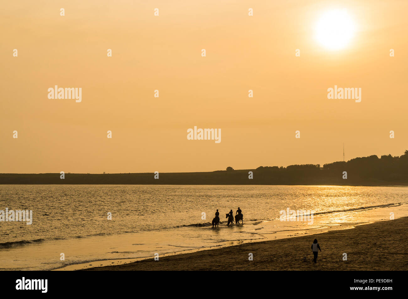 Group of friends riding their horses in the sea at Barry Island, Vale ...