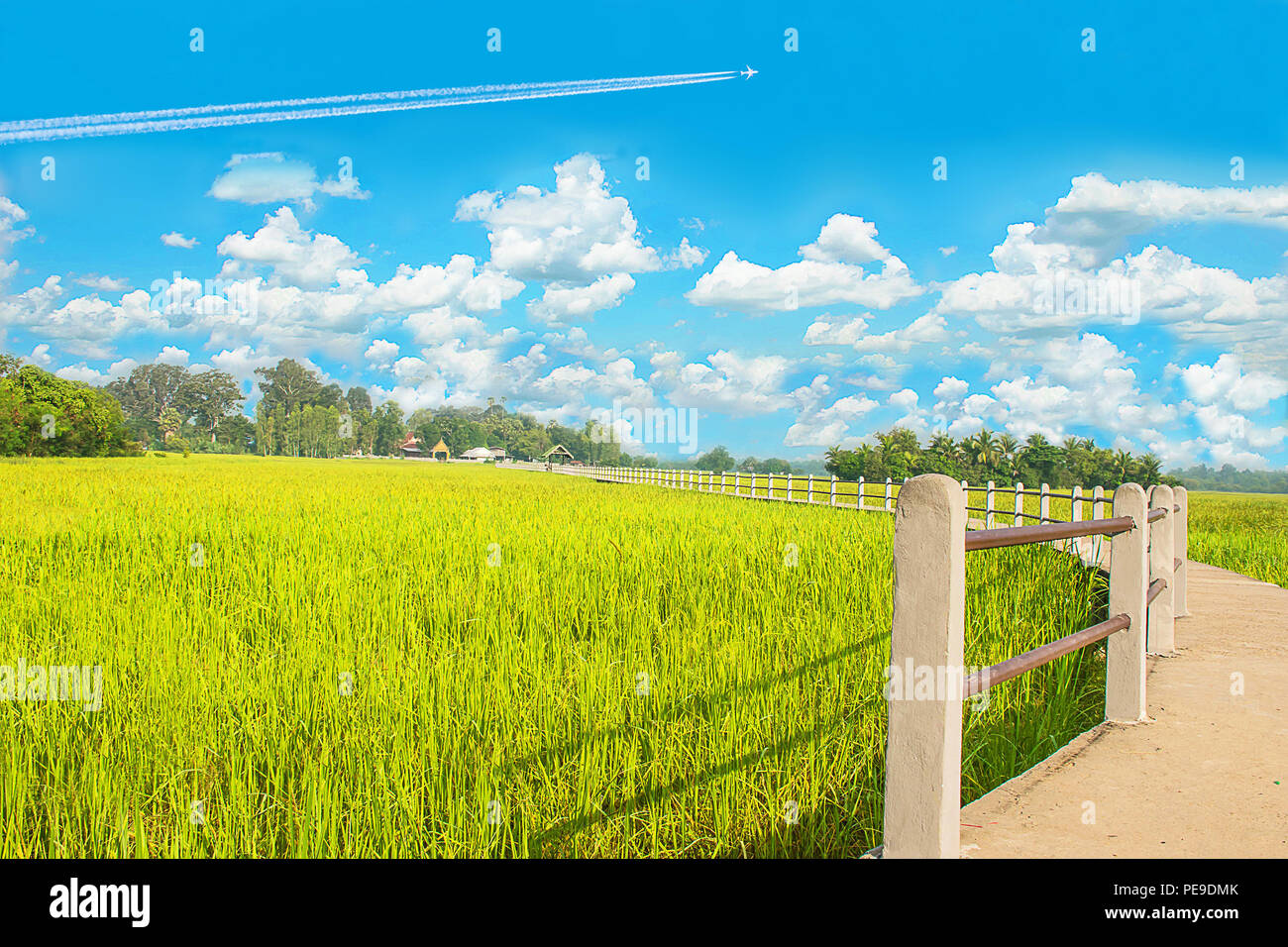 Ban chee tuan hi-res stock photography and images - Alamy