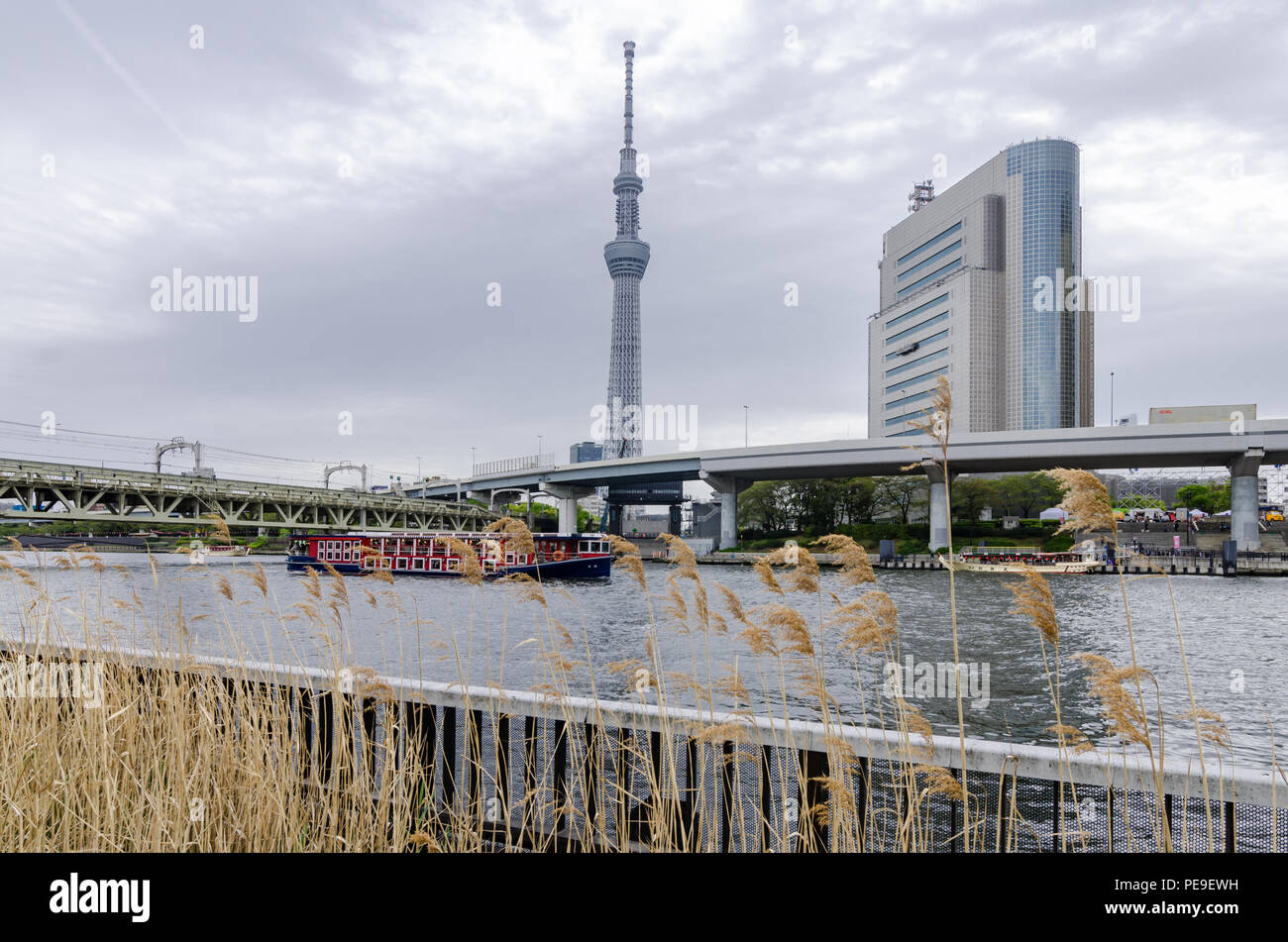 Iconic buildings as seen from Sumida Park, across Sumida River. Those ...