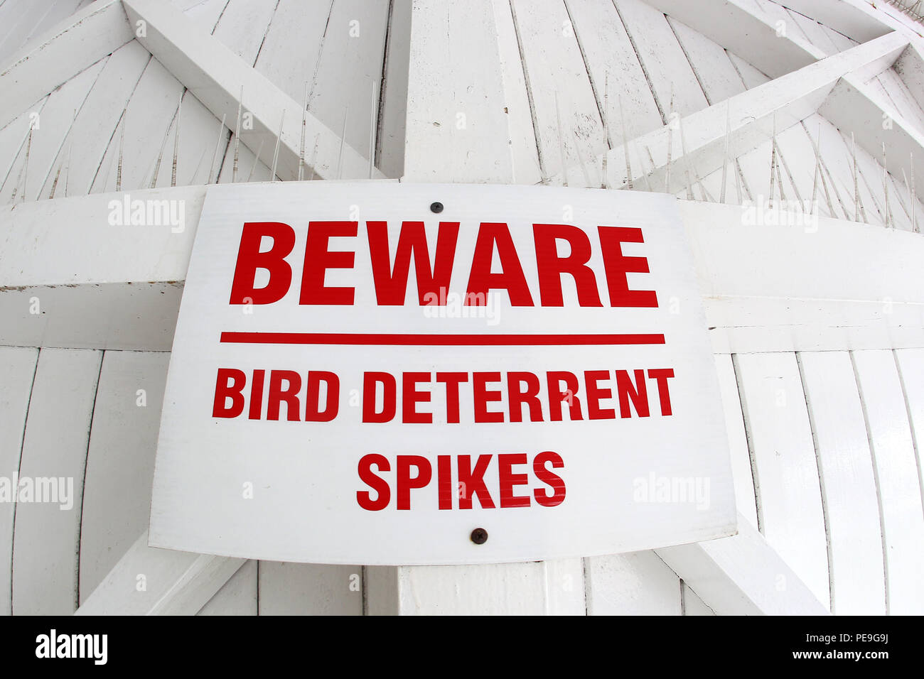 Bird Deterrent Spikes signage during Sussex CCC vs Essex CCC ...