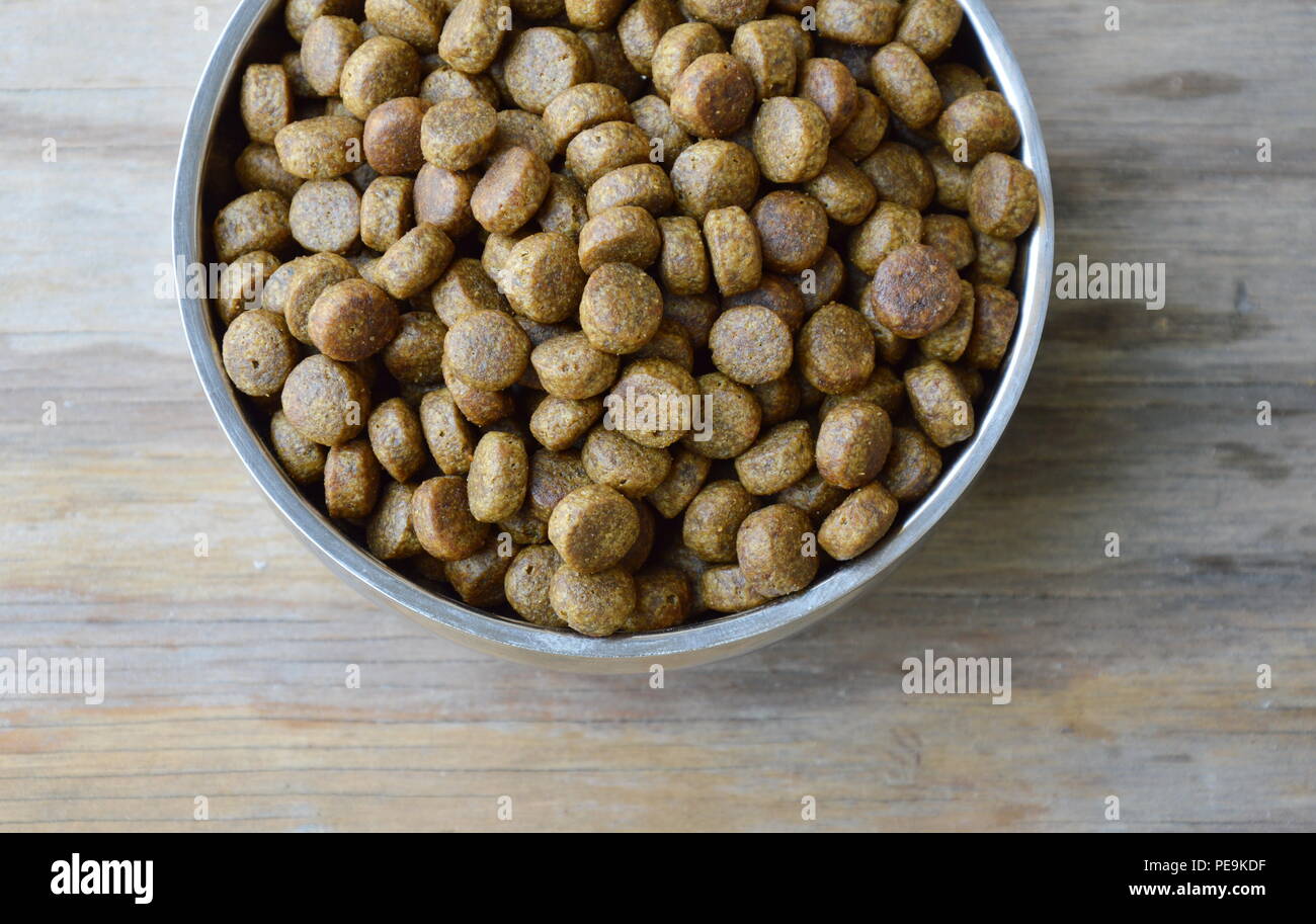 dog food in circle stainless bowl Stock Photo - Alamy