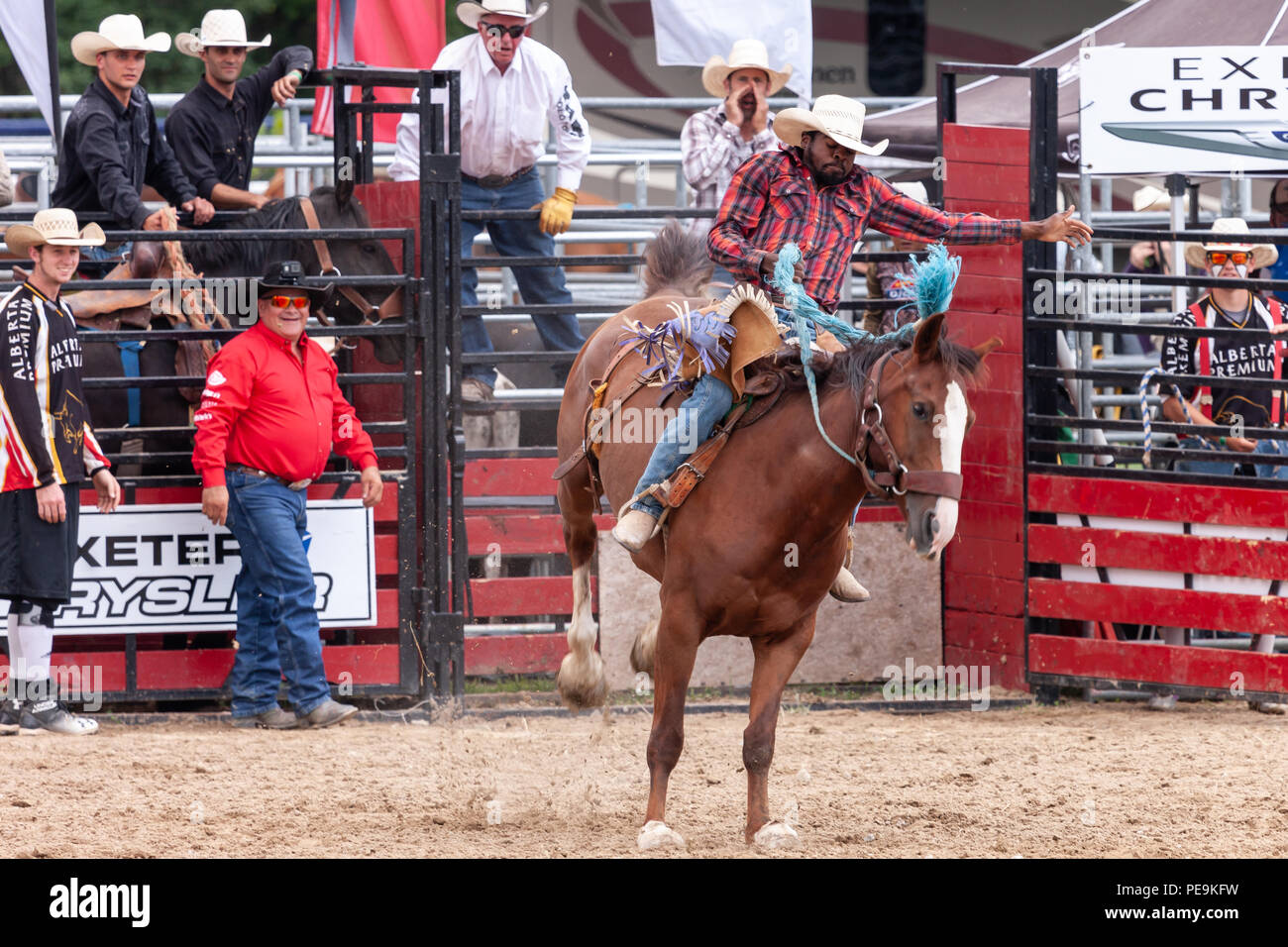 Professional cowboys compete in the saddle bronc portion of the 2018 ...