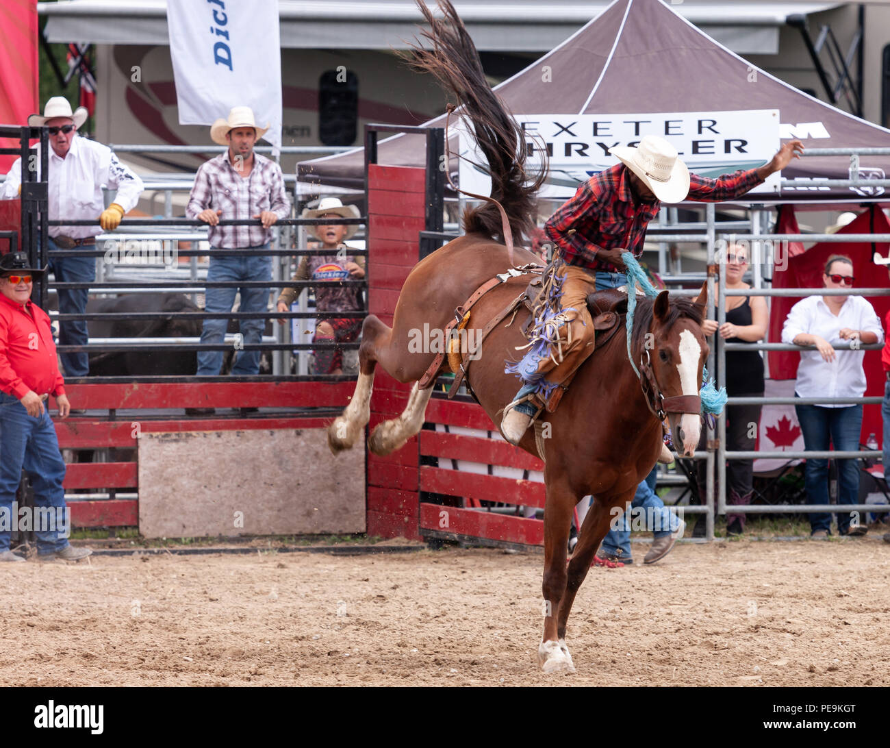 Professional cowboys compete in the saddle bronc portion of the 2018 ...
