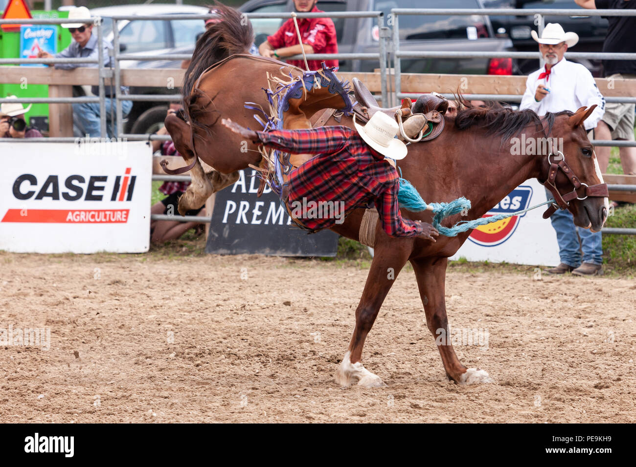 Professional cowboys compete in the saddle bronc portion of the 2018 ...