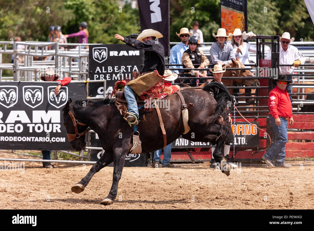 Professional cowboys compete in the saddle bronc portion of the 2018 ...