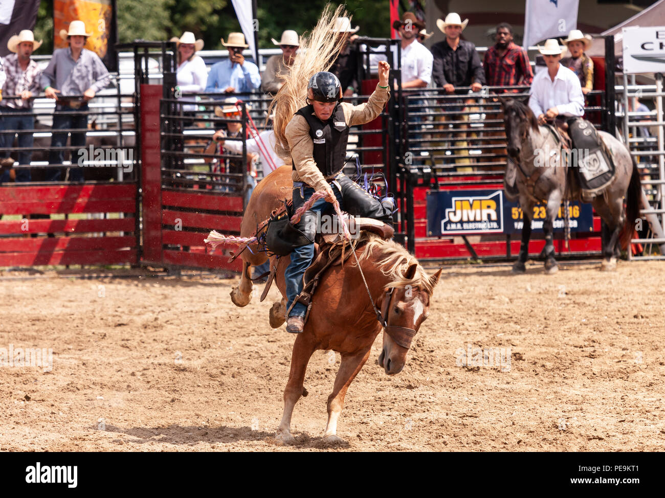 Professional cowboys compete in the saddle bronc portion of the 2018 ...
