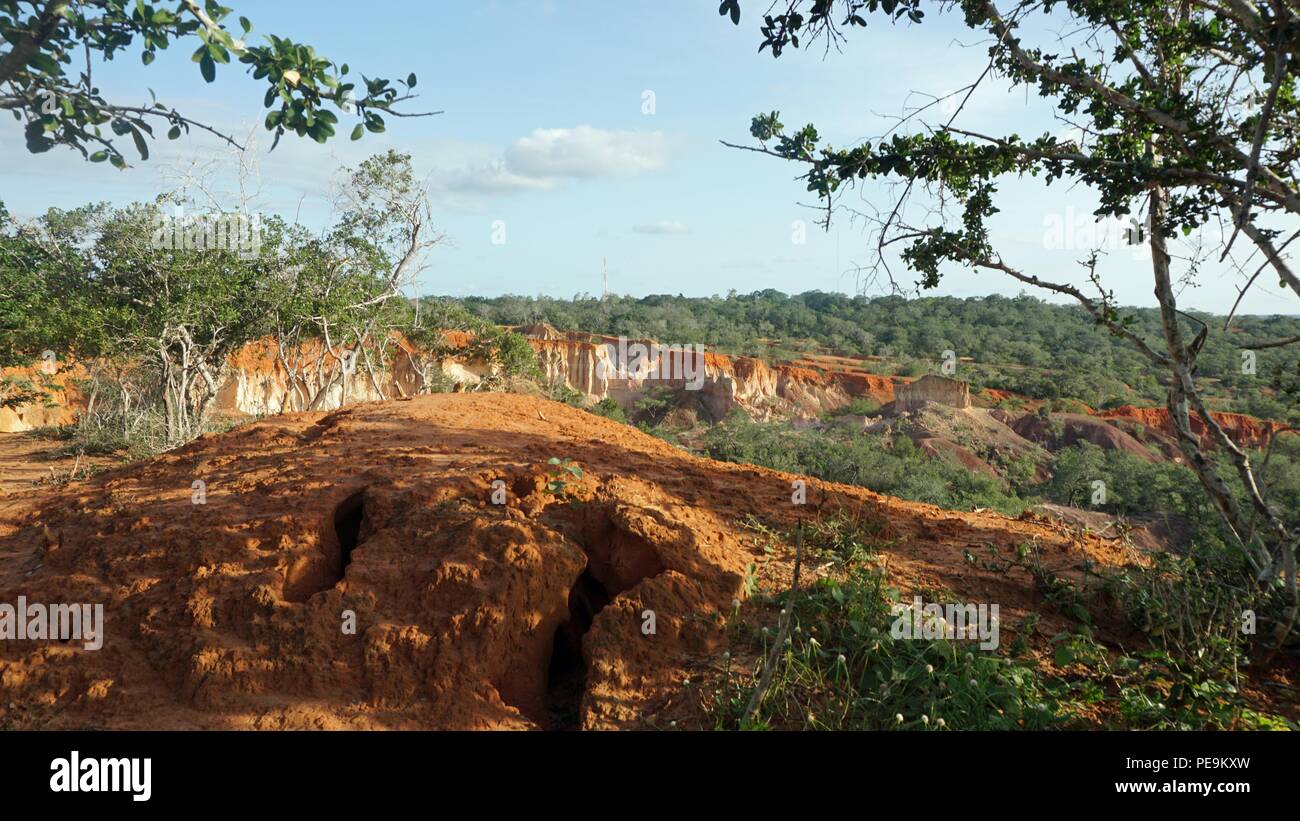 Hells Kitchen Canyon of Marafa in Keyna Stock Photo - Alamy