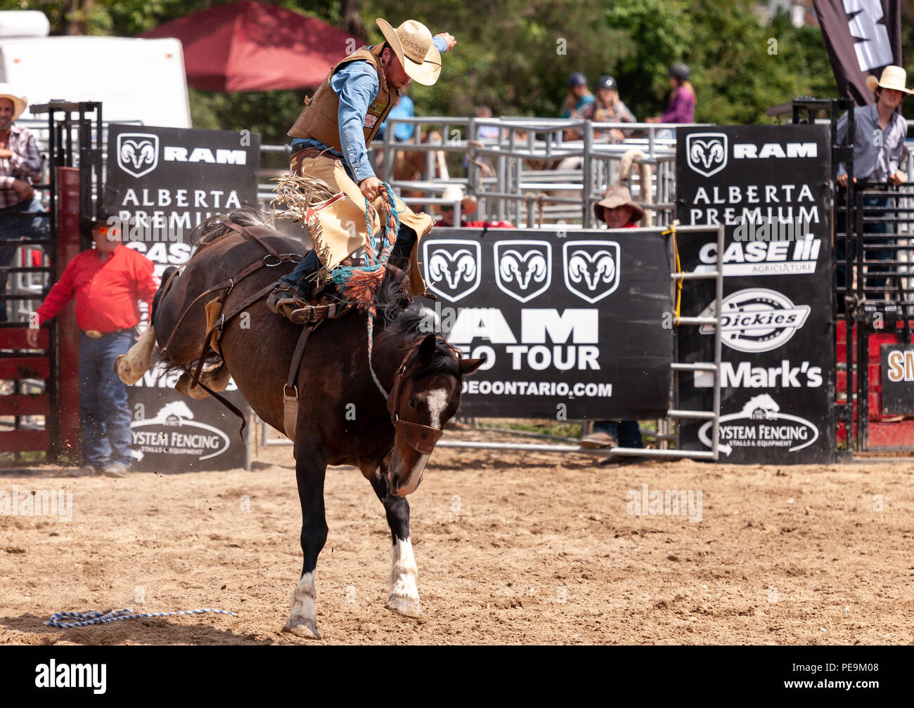 Professional cowboys compete in the saddle bronc portion of the 2018 ...