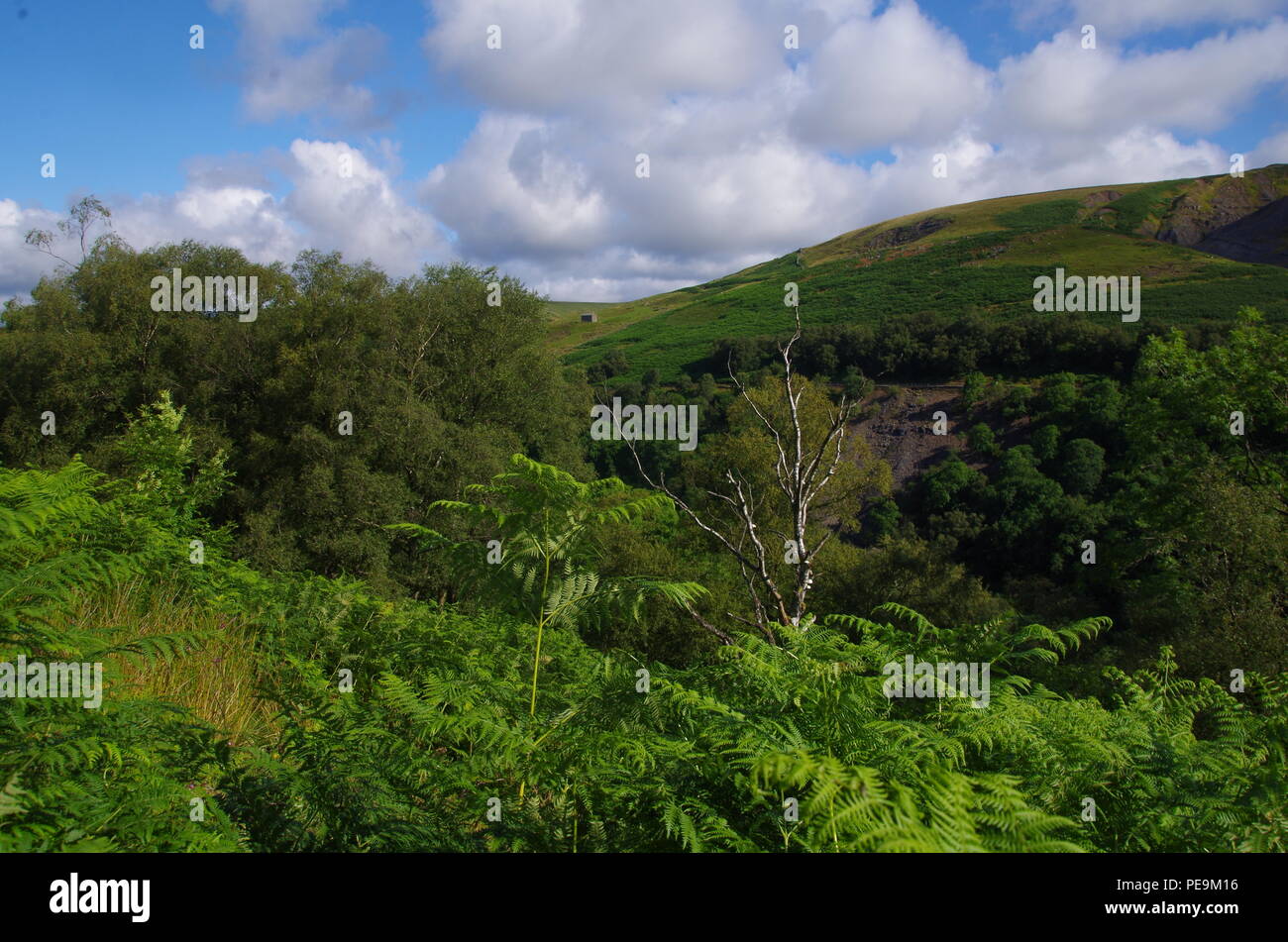 Swaledale. John o' groats (Duncansby head) to lands end. End to end ...