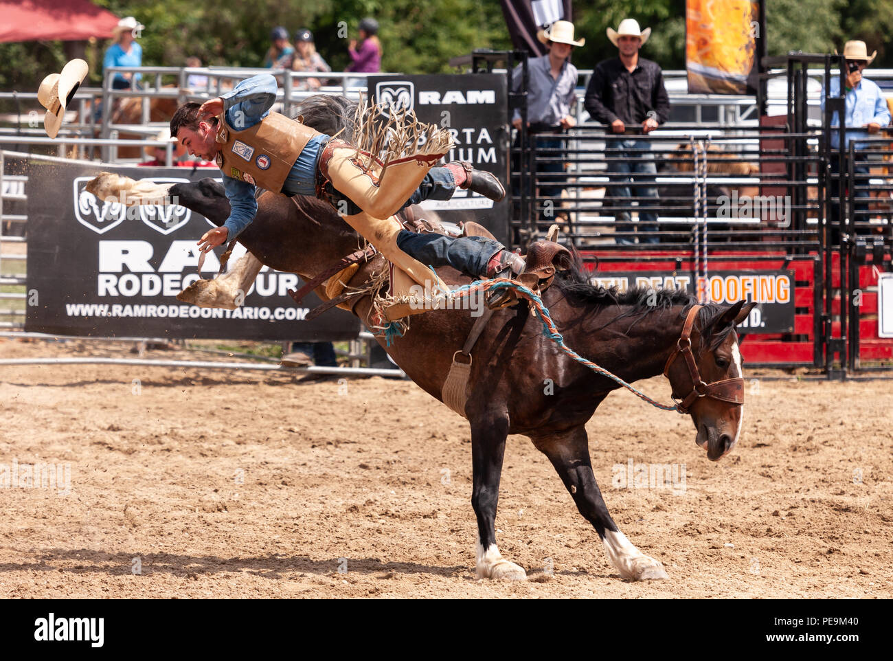 Bucking broncos hi-res stock photography and images - Alamy
