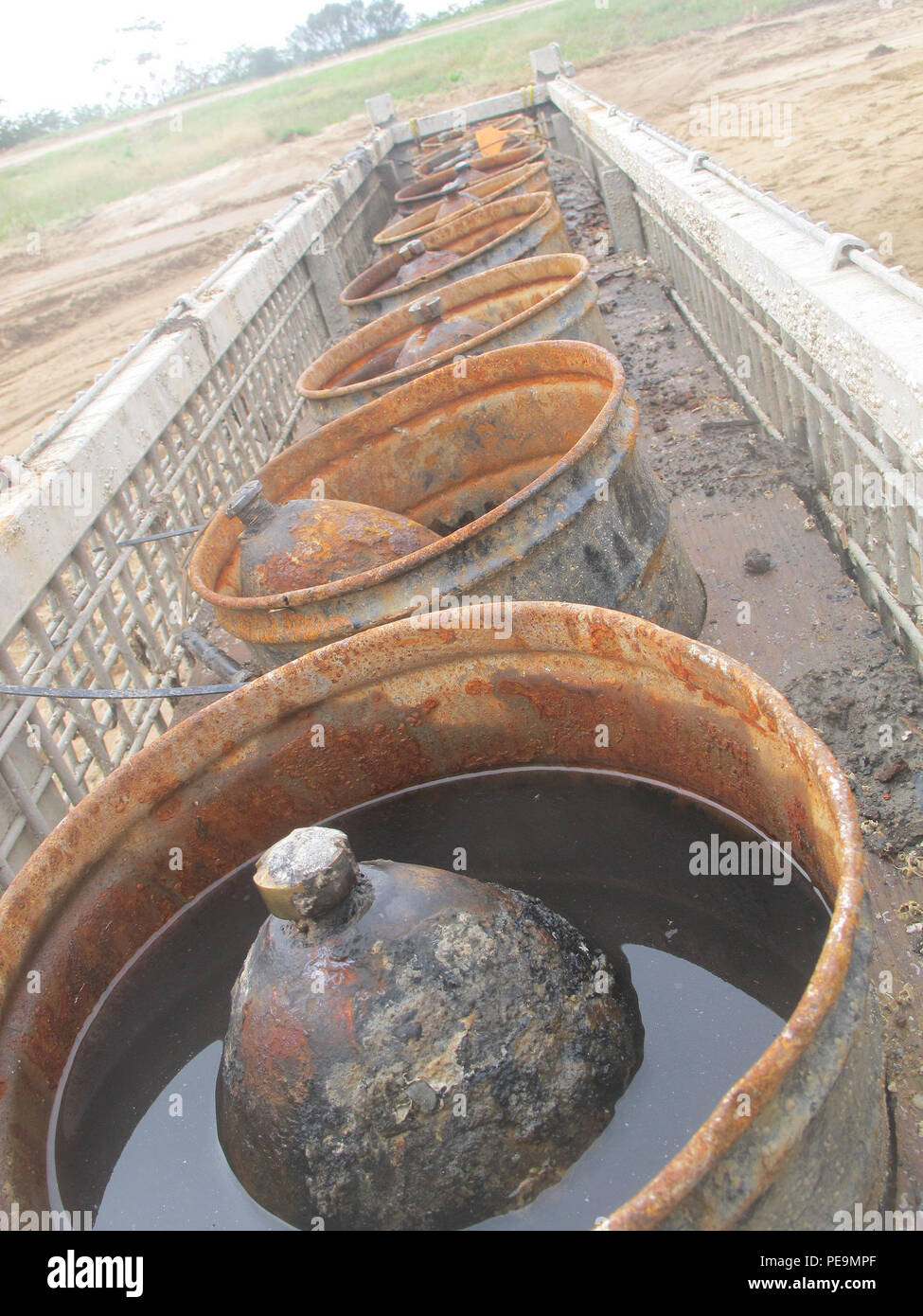 A row of 6.4-inch Brooke shells wait in buckets filled with seawater ...