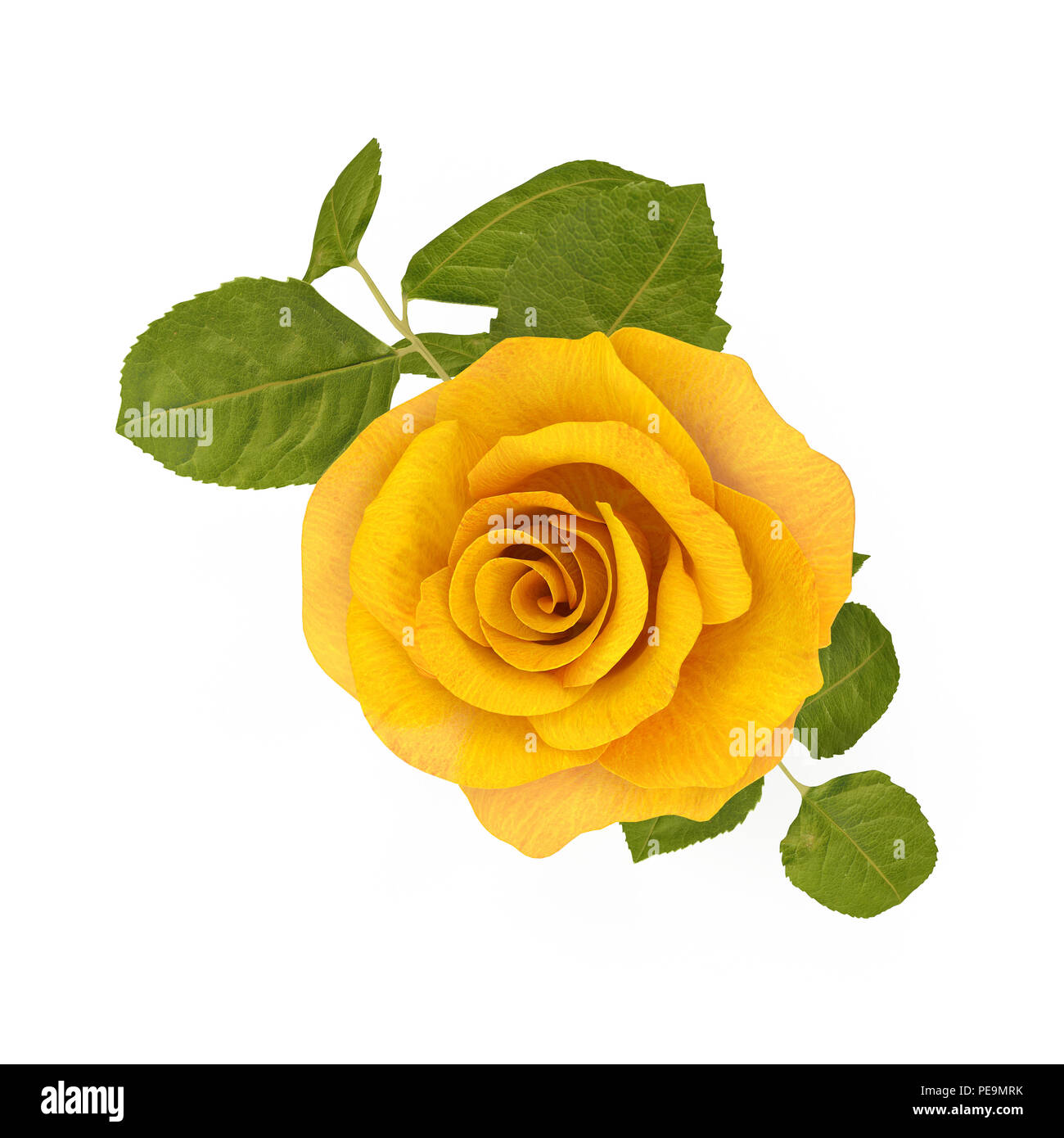 Rendering single yellow flower hi-res stock photography and images - Alamy