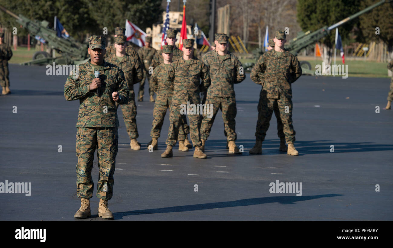 Brigadier Gen. Terry V. Williams speaks during the 75th Anniversary of ...