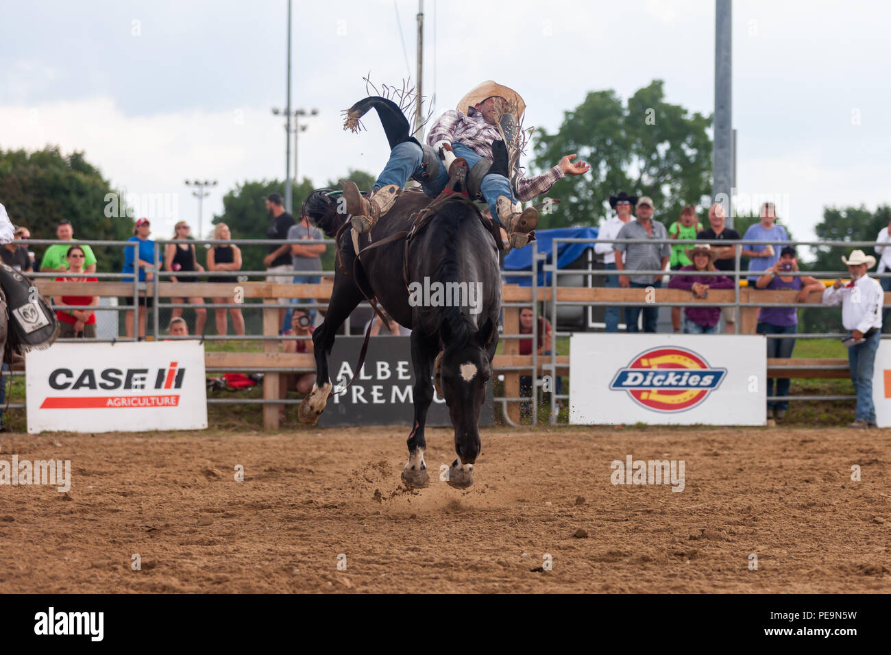 Professional cowboys compete in the saddle bronc portion of the 2018 ...