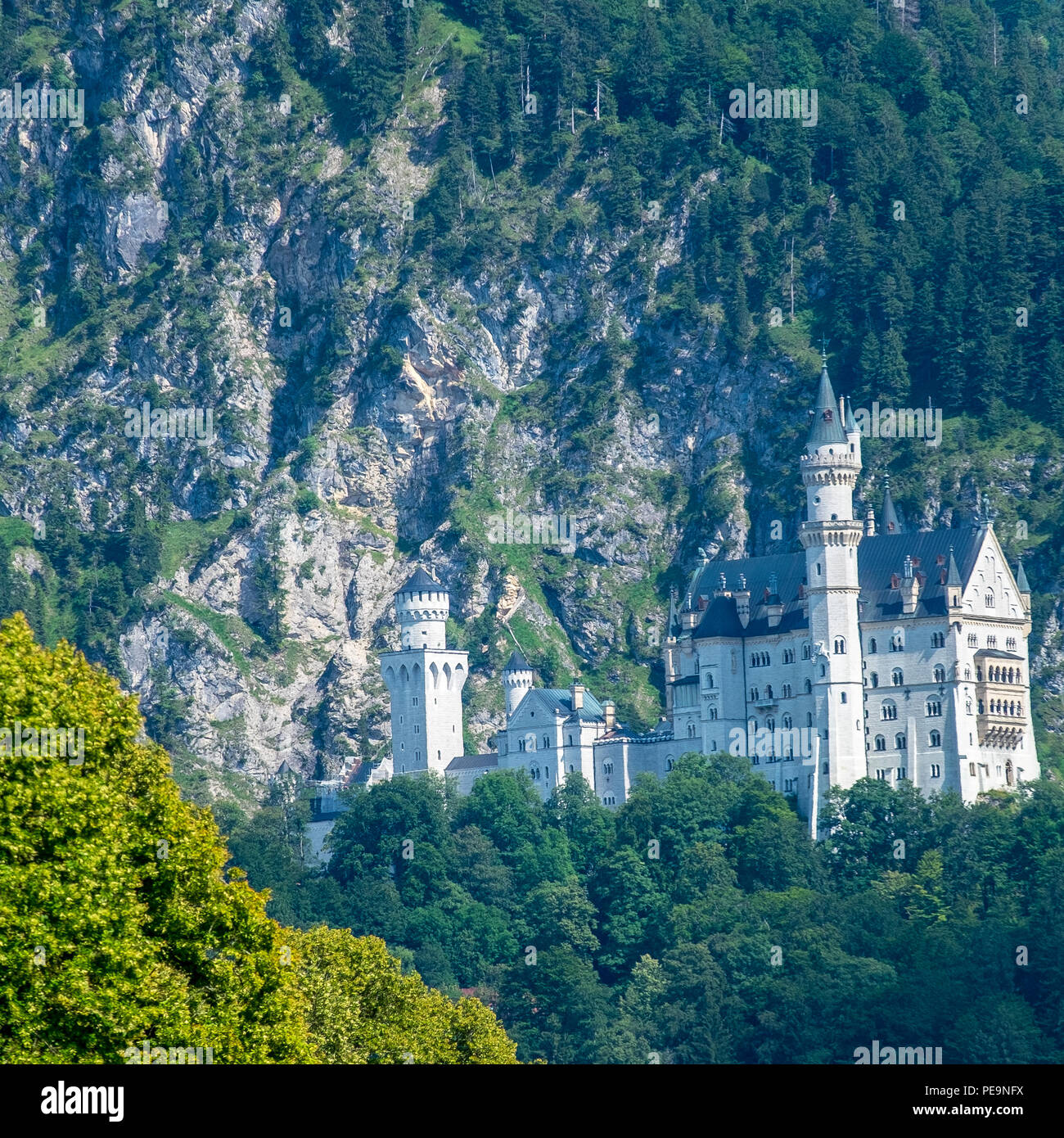 neuschwanstien castle at fussen, bavaria, germanycastle Stock Photo - Alamy